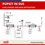 PUPSIT in Single Use Systems: Challenges and Risk Mitigation – The ...